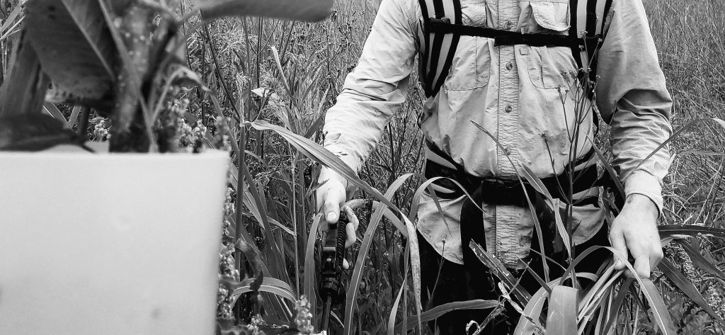 Controlling Weed Competition – Wildlife Habitat Resources